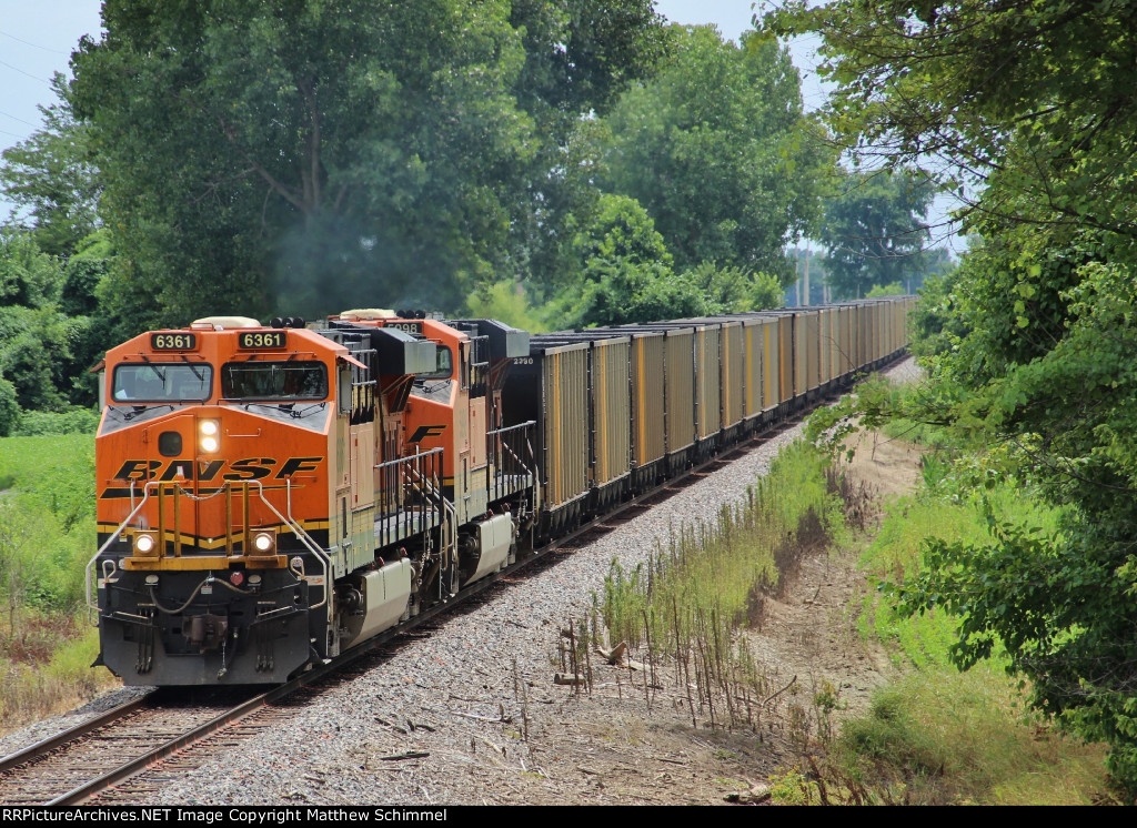 Elephant Style Gevos